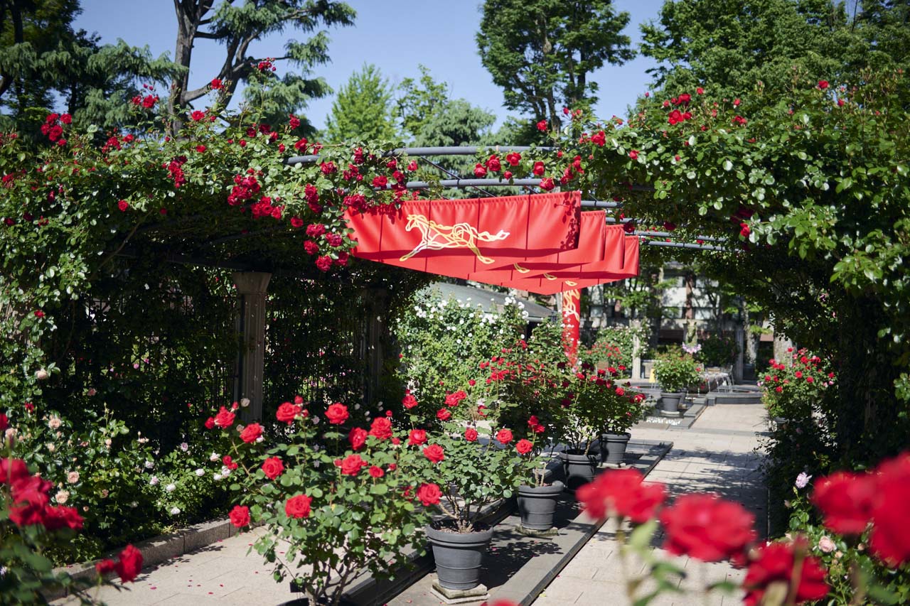 東京競馬場マップ